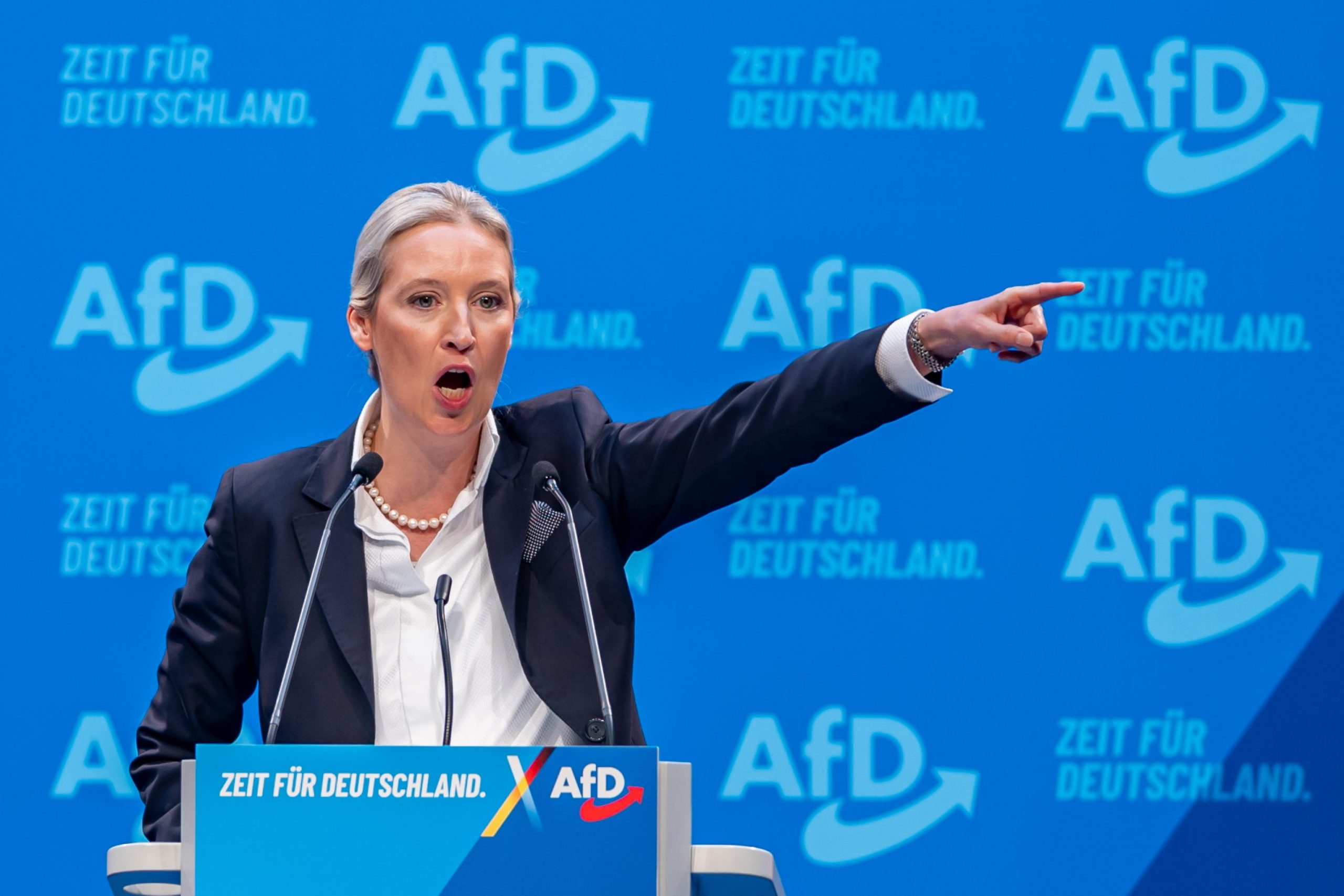 Chi è Alice Weidel, la candidata di Afd per la quale «Hitler era ...